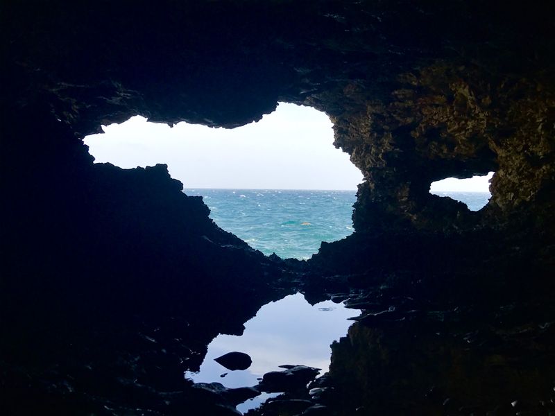 Animal Flower Cave | Smithsonian Photo Contest | Smithsonian Magazine