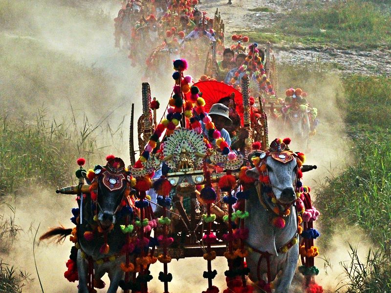 Myanmar Donation | Smithsonian Photo Contest | Smithsonian Magazine