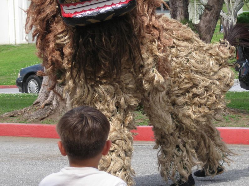Okinawan Shisa Dog Meets His Match | Smithsonian Photo Contest ...