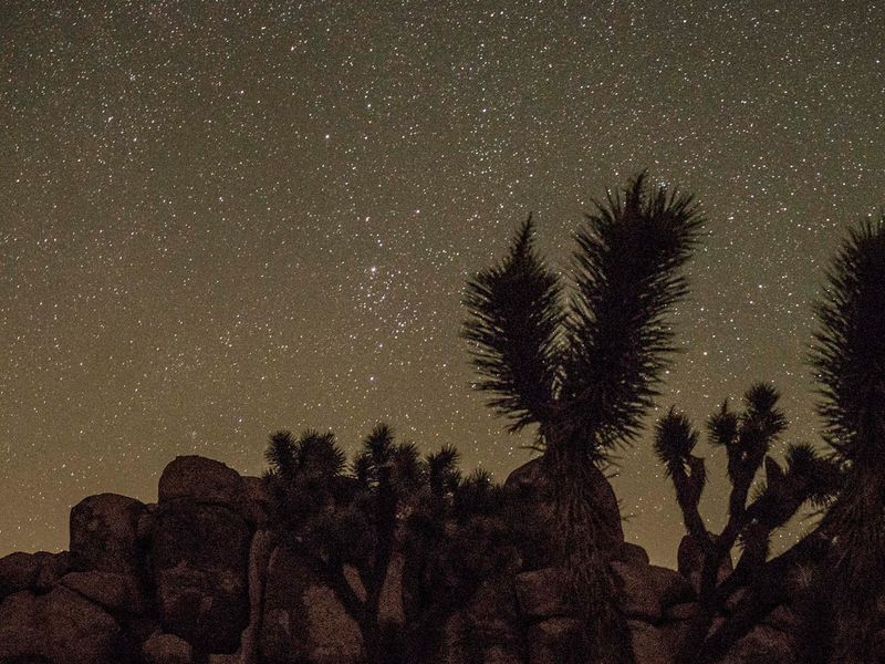 Amazing night sky at Joshua Tree National Park, California ...