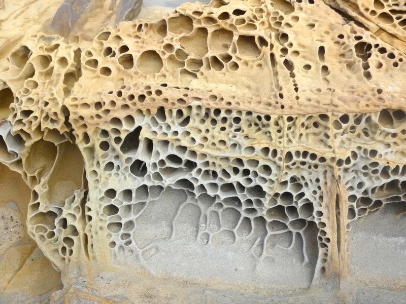Tafoni rock formations at Bean Hollow State Beach, California ...