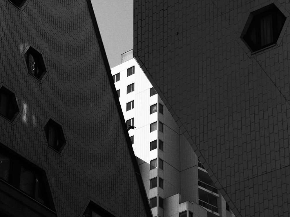 The Parisian Hidden Facade | Smithsonian Photo Contest | Smithsonian ...