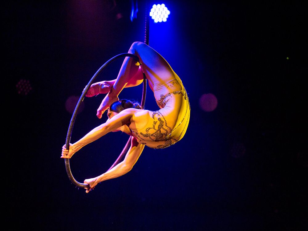 Step Right Up! See the Reinvention of the Great American Circus!