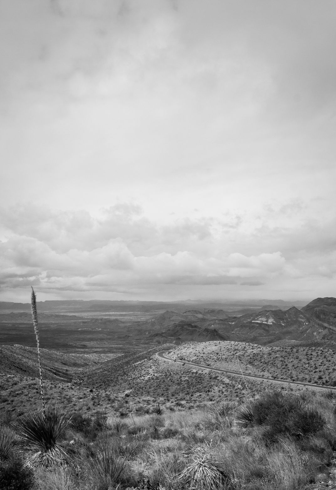 Sparse Big Bend Landscape | Smithsonian Photo Contest | Smithsonian ...