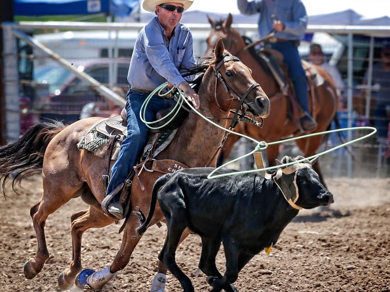 Calf roper | Smithsonian Photo Contest | Smithsonian Magazine