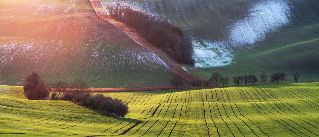 Autumn Waves | Smithsonian Photo Contest | Smithsonian Magazine
