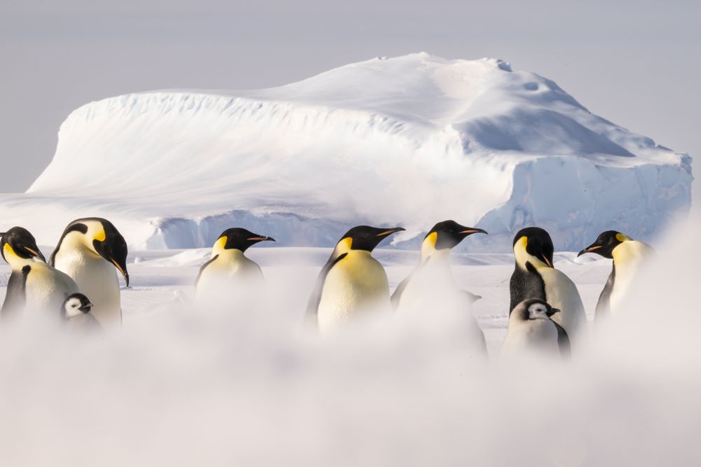 Smithsonian Magazine Daily Newsletter