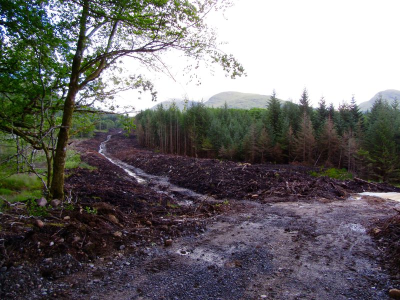 Scars on the Landscape | Smithsonian Photo Contest | Smithsonian Magazine