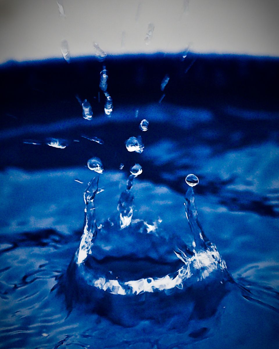 Splash of a raindrop. | Smithsonian Photo Contest | Smithsonian Magazine