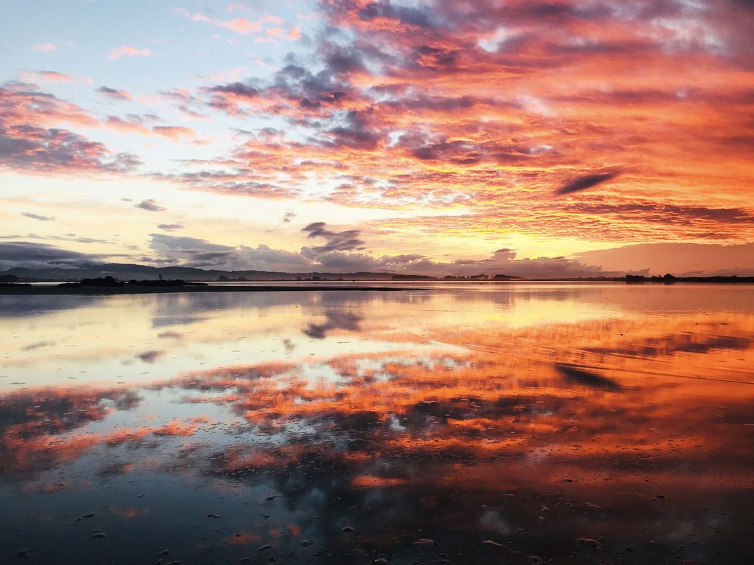 Amazing reflection | Smithsonian Photo Contest | Smithsonian Magazine