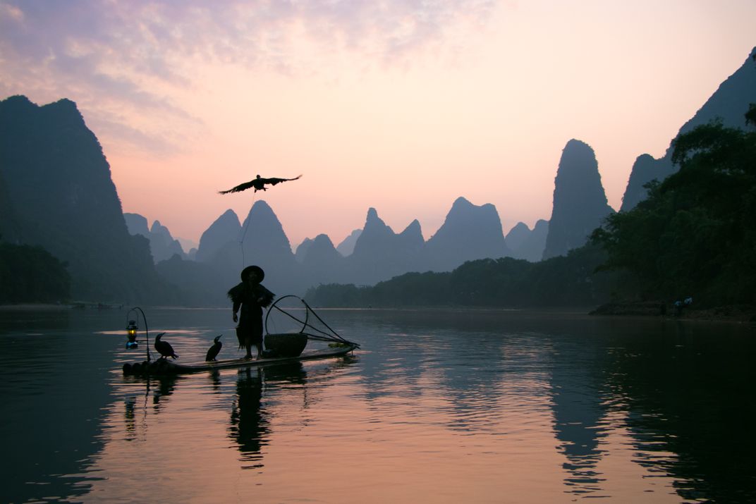 A cormorant fisherman releasing one of his birds | Smithsonian Photo ...