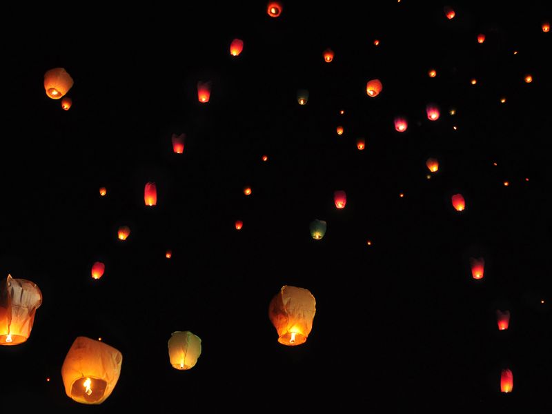 FANUS | Smithsonian Photo Contest | Smithsonian Magazine