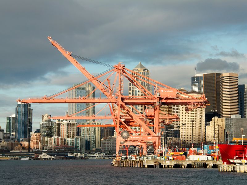 Cranes with the Seattle skyline in the distance. | Smithsonian Photo ...
