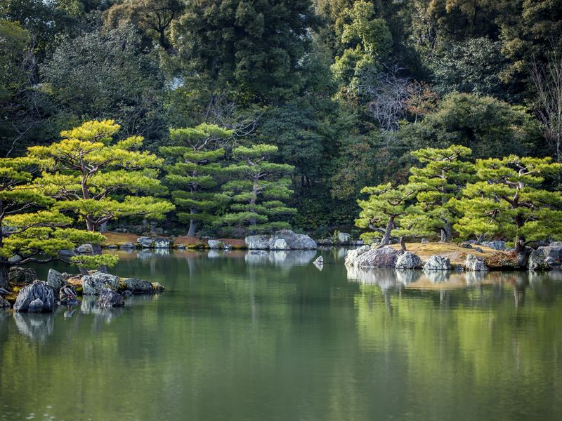 A pond in Japan near a place of worship | Smithsonian Photo Contest ...