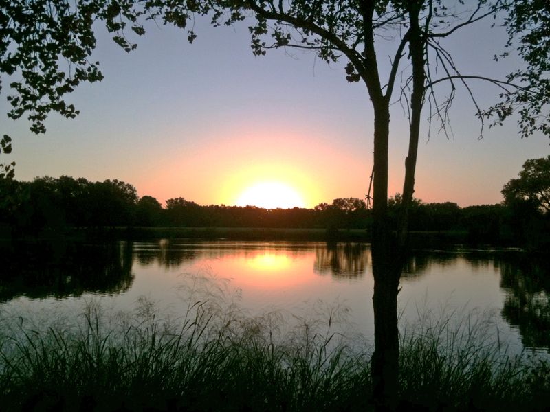 Walking along Sedgwick County Park with a friend. | Smithsonian Photo ...