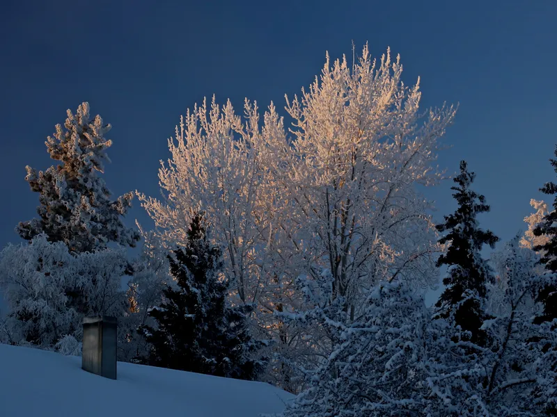 Hoarfrost | Smithsonian Photo Contest | Smithsonian Magazine