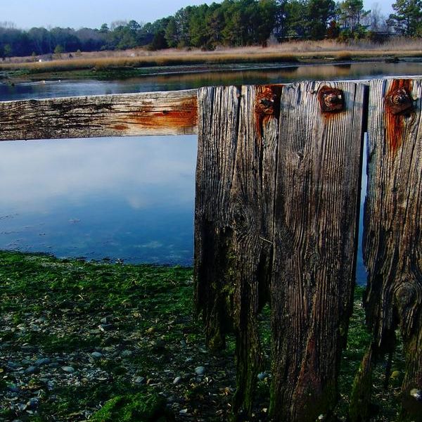 Rust on an old fence | Smithsonian Photo Contest | Smithsonian Magazine