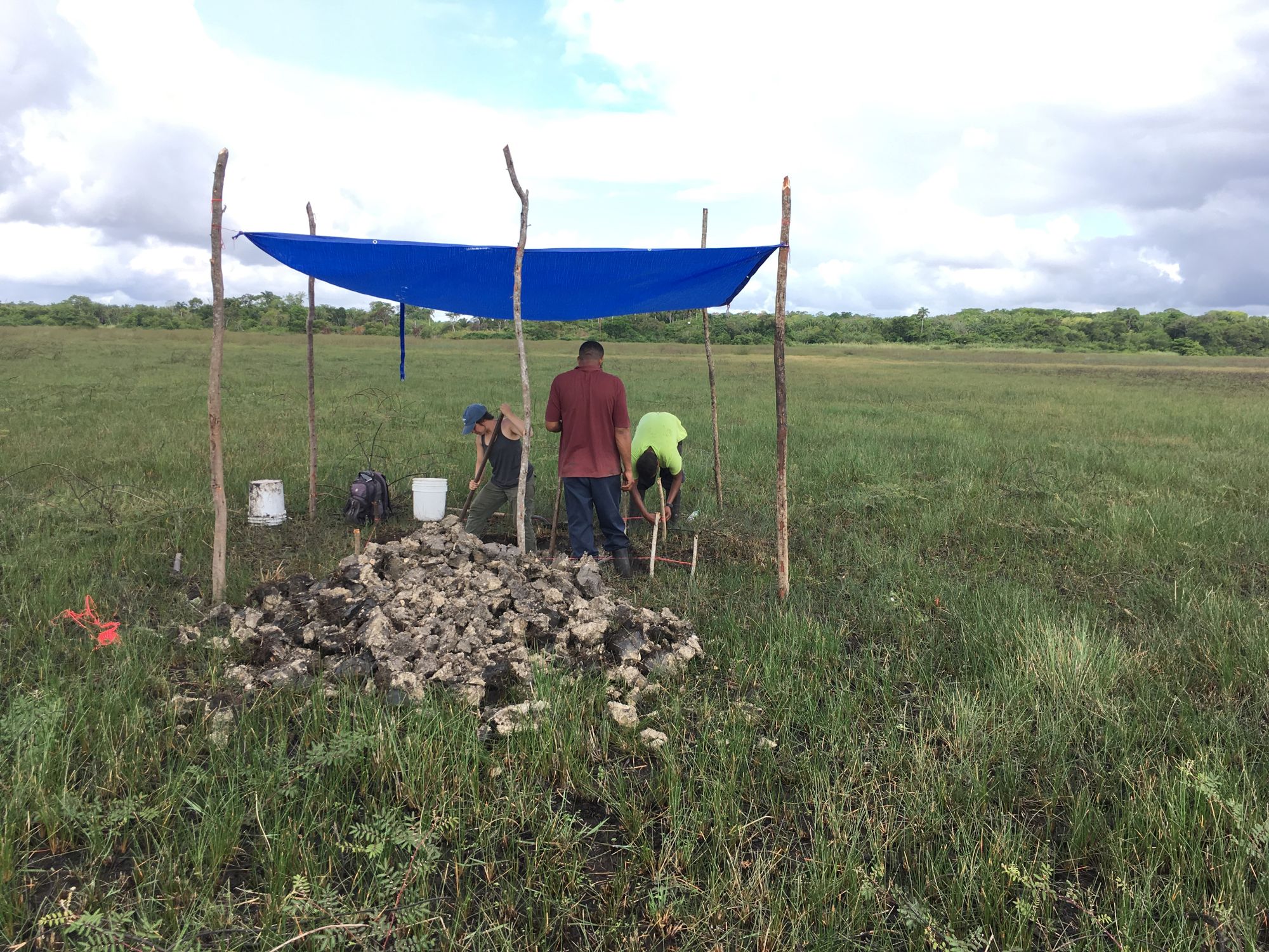 Archaeologists Discover Ancient Canals Used to Trap Fish in Belize ...