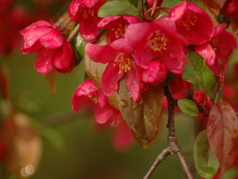neon dark spring | Smithsonian Photo Contest | Smithsonian Magazine