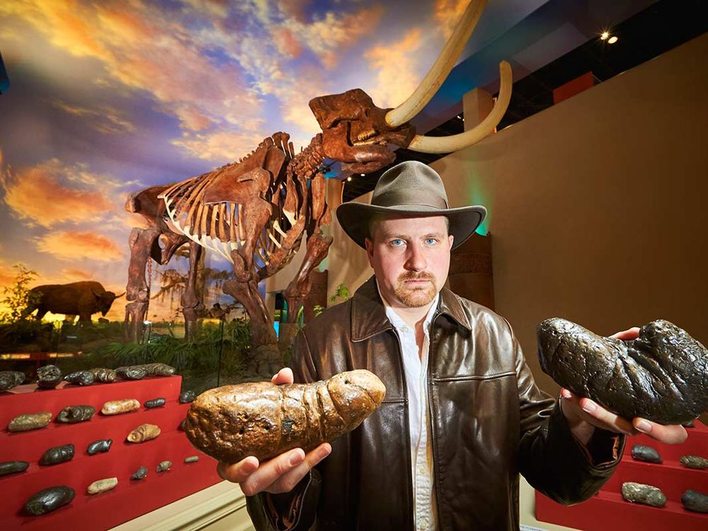 Collection of Fossilized Poo Certified as World's Largest