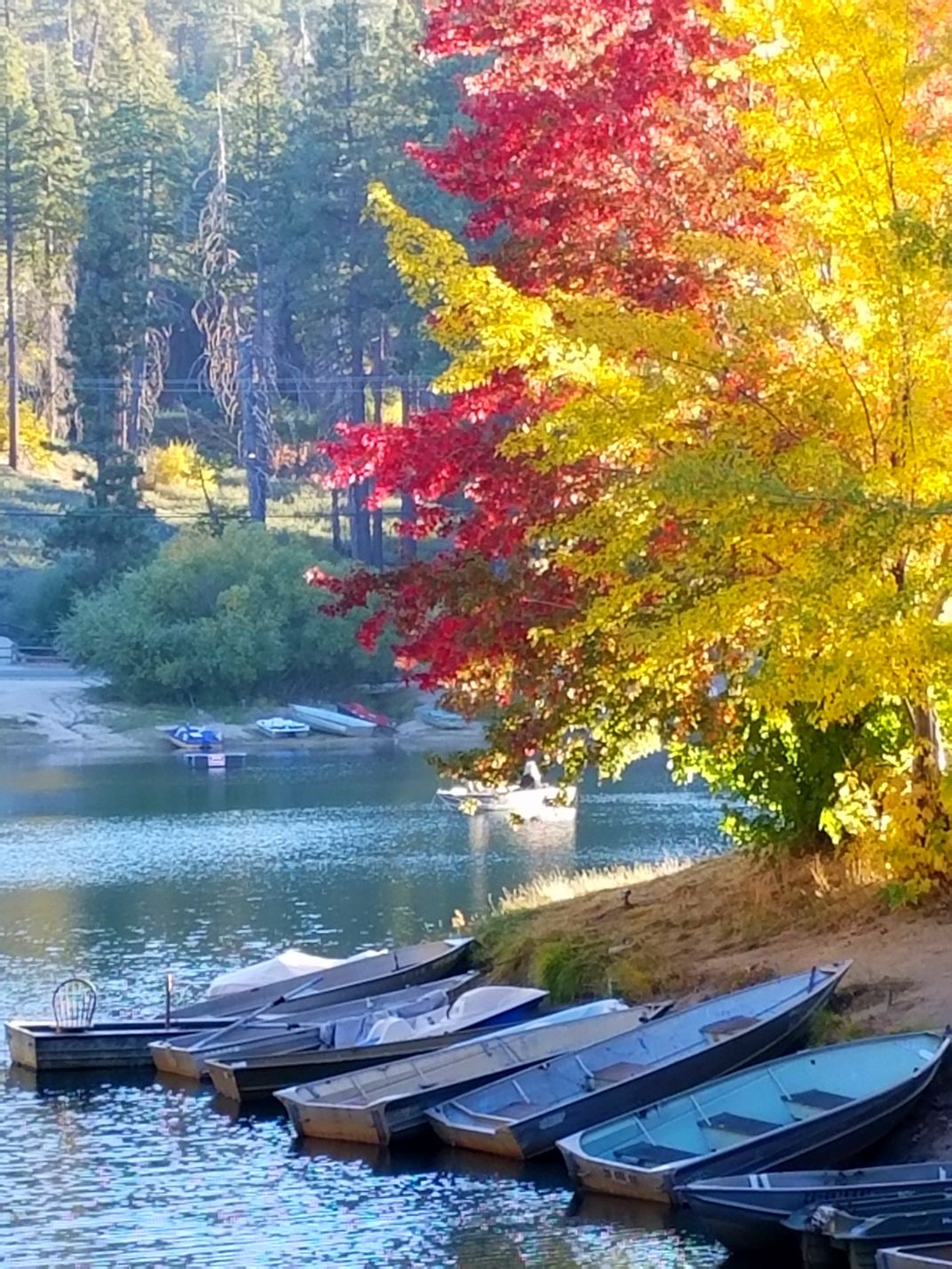 Autumn Wonder | Smithsonian Photo Contest | Smithsonian Magazine