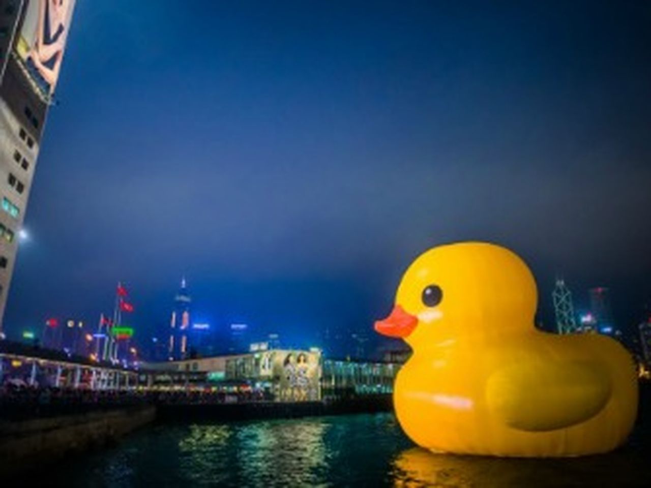 Giant Rubber Duck Wallpaper