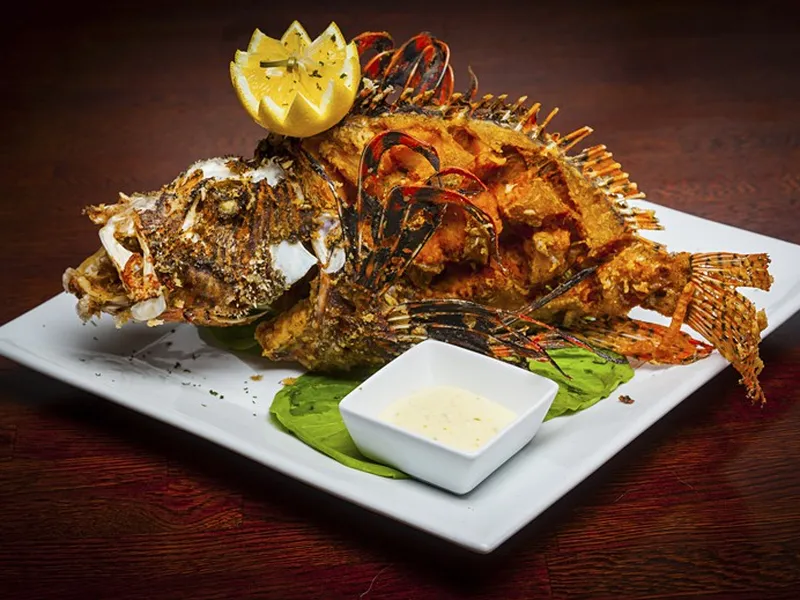 Lionfish Sushi Thursday Is Our Favorite Day Of The Week Because It's