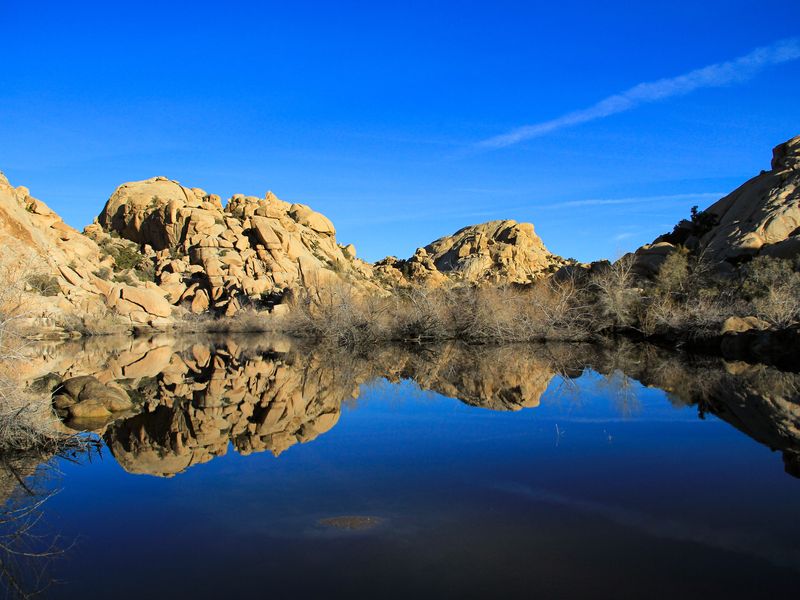 Barker Dam Joshua Tree National Park | Smithsonian Photo Contest ...
