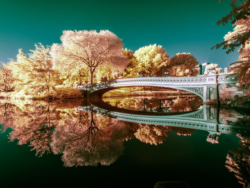 Bow Bridge in Central Park. NYC | Smithsonian Photo Contest ...