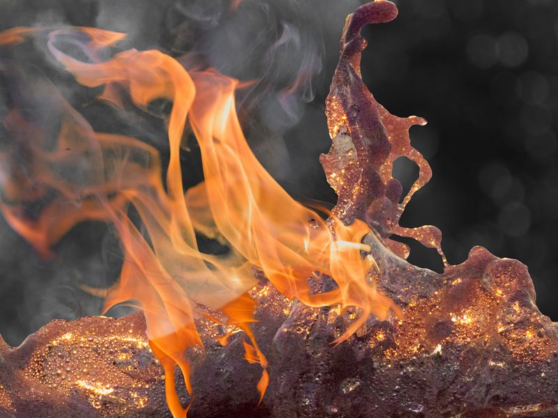 A dragon with a fire tail | Smithsonian Photo Contest | Smithsonian ...