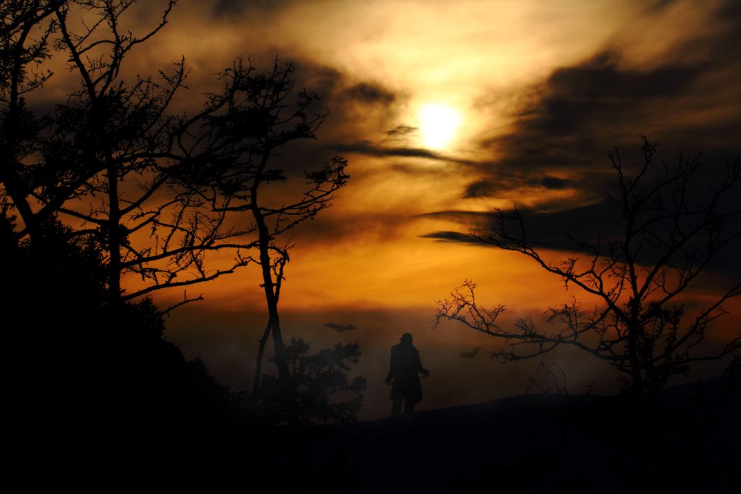Night guests... | Smithsonian Photo Contest | Smithsonian Magazine