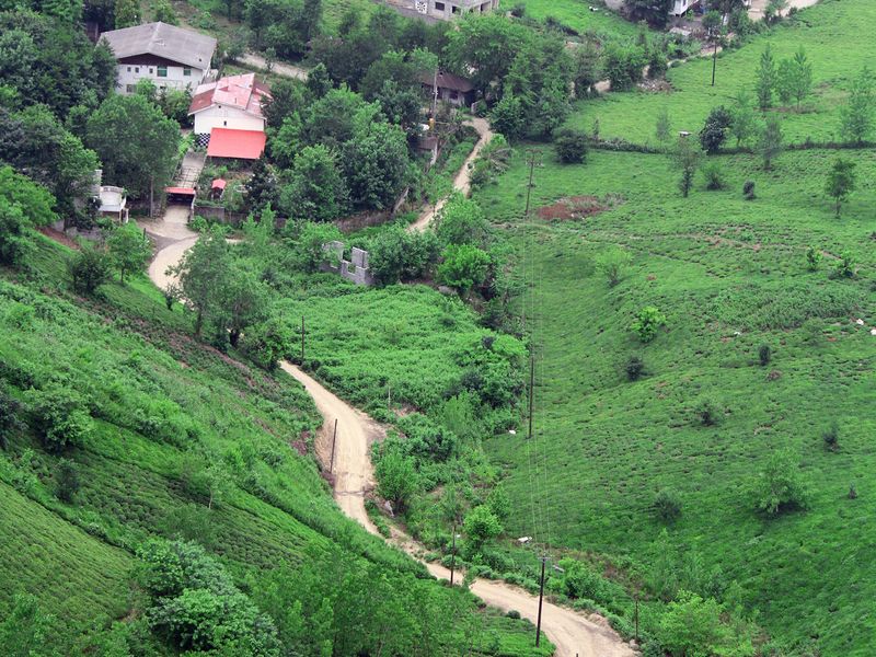 shomal-iran | Smithsonian Photo Contest | Smithsonian Magazine