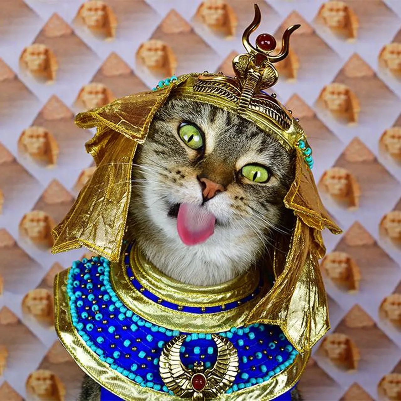 how to draw a cat narrated step by step