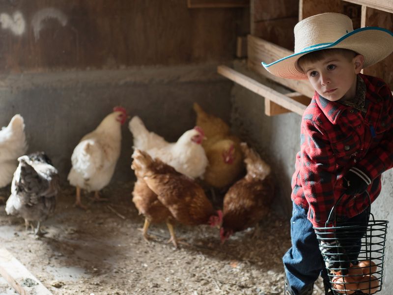 Ranch Kid Life | Smithsonian Photo Contest | Smithsonian Magazine