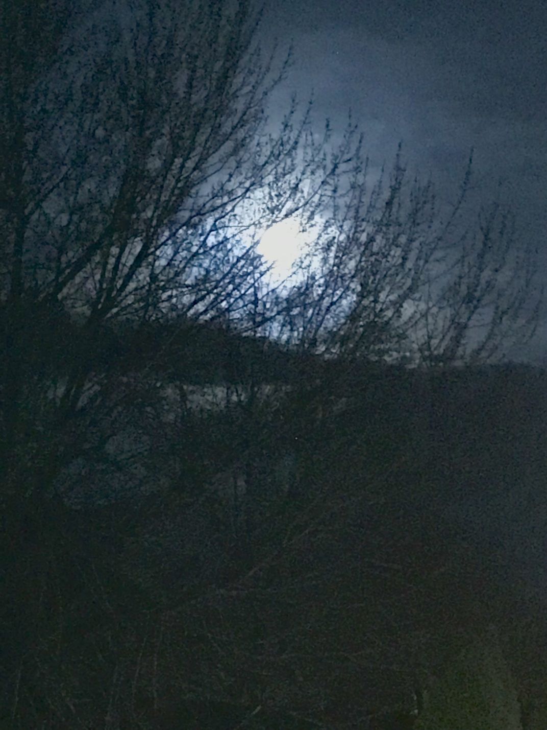 Luna Azul (part 1) | Smithsonian Photo Contest | Smithsonian Magazine