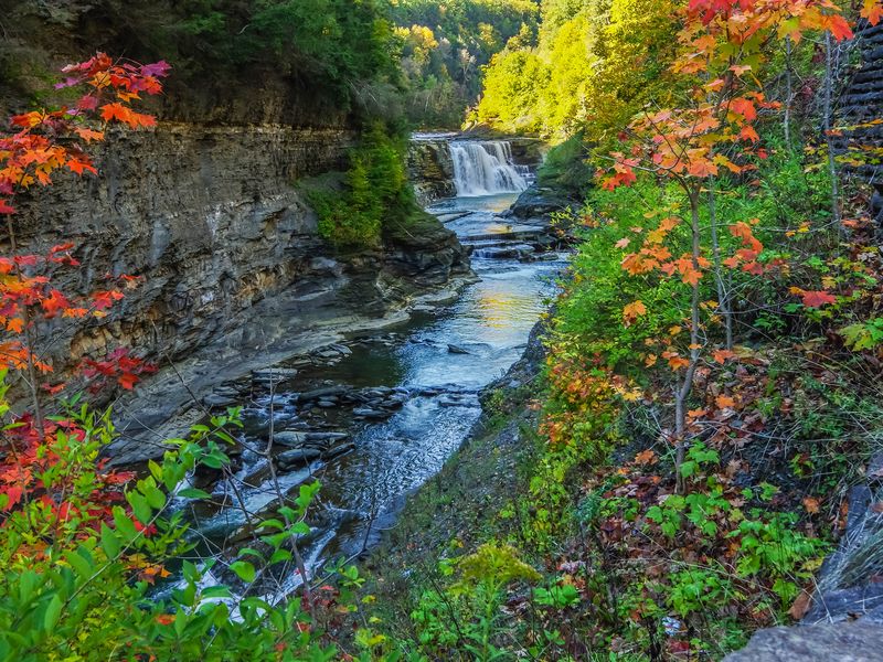Lower Falls of the Genesee River, NY | Smithsonian Photo Contest ...
