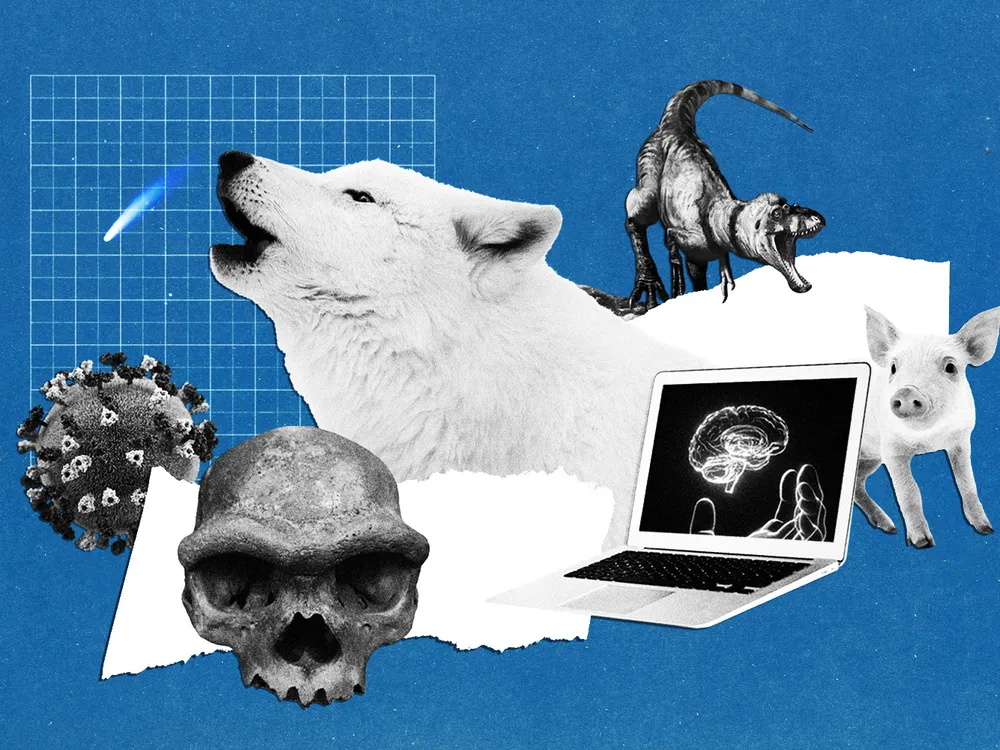 The Ten Most Significant Science Stories of 2025, From Medical ...