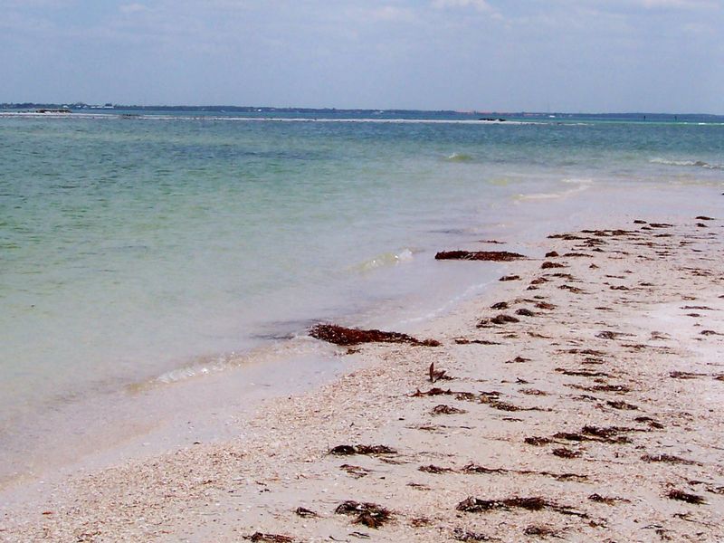 Shelling beach | Smithsonian Photo Contest | Smithsonian Magazine