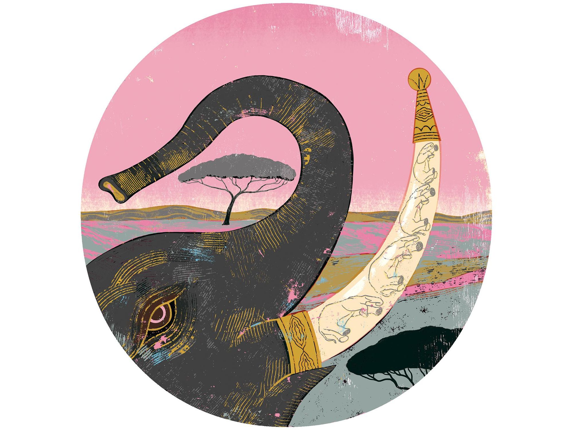 Why Is Ivory So Precious? And More Questions From Our Readers