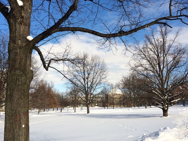 Winter in Ithaca | Smithsonian Photo Contest | Smithsonian Magazine