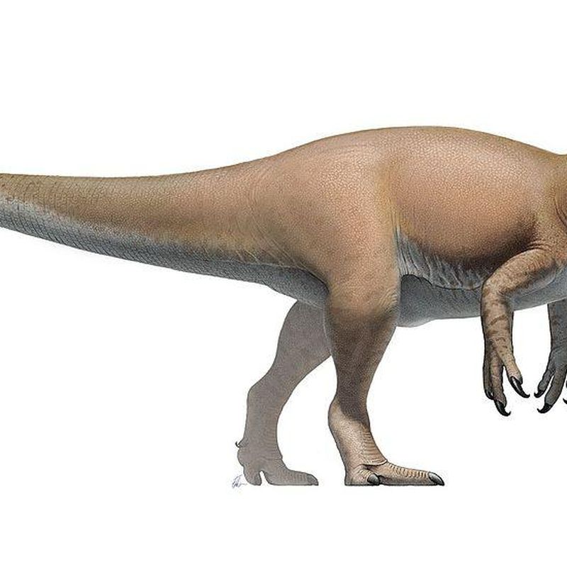 Dinosaurs Allosaurus Drawing Free Vector | Allosaurus In Green And