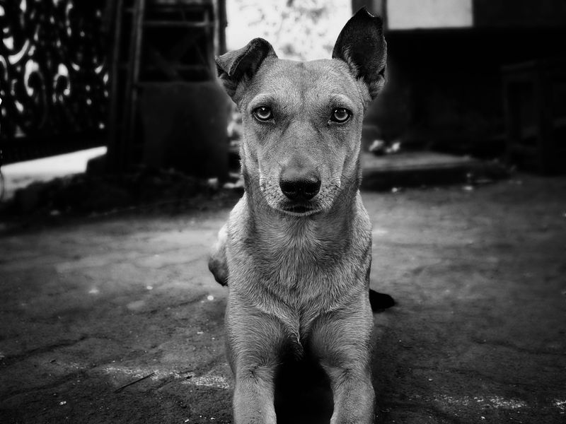 Faffing | Smithsonian Photo Contest | Smithsonian Magazine