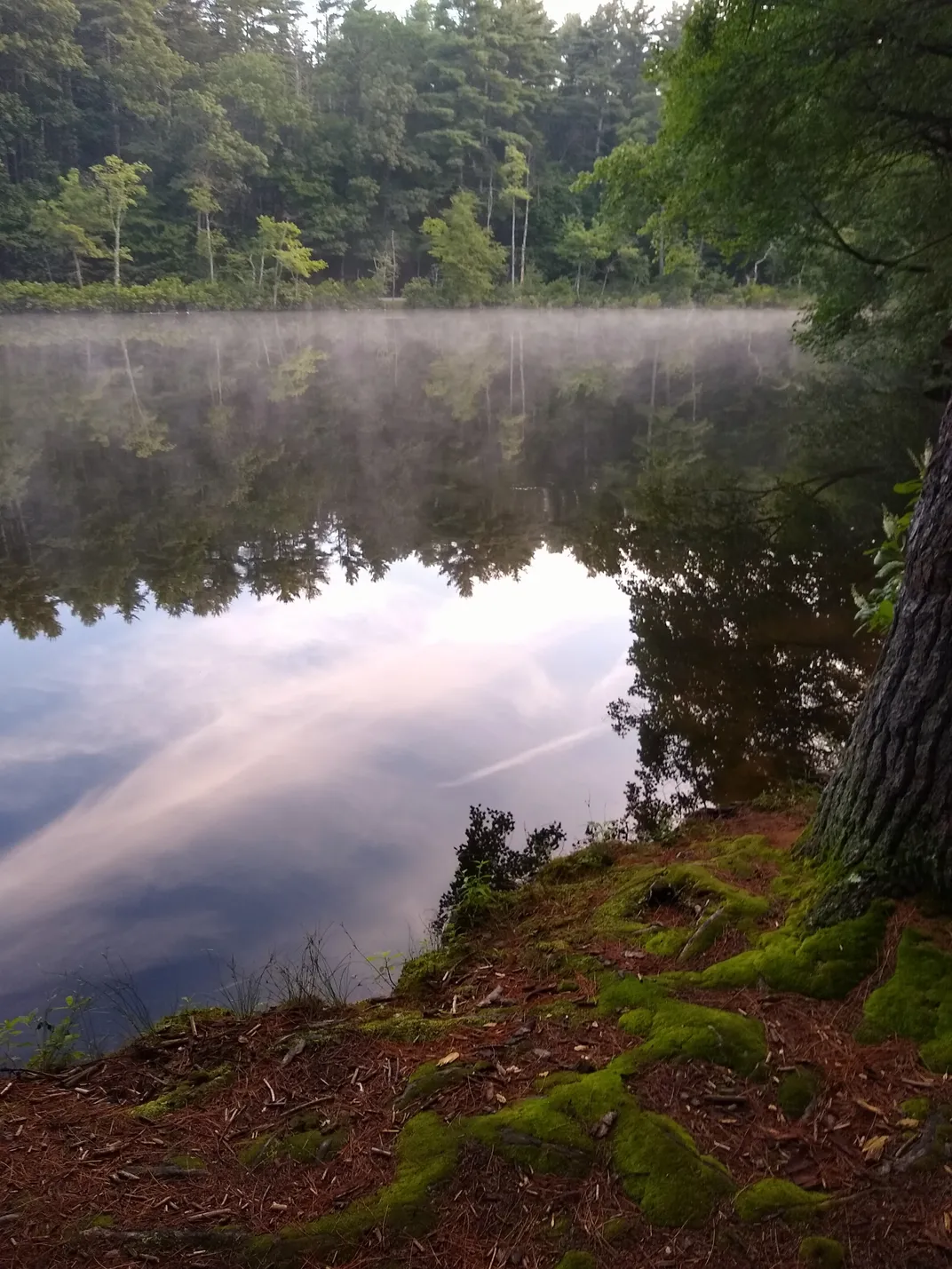 Morning Reflections on Fields Pond | Smithsonian Photo Contest ...