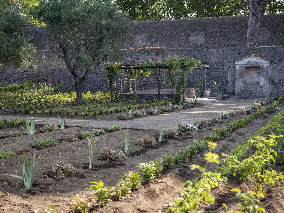 The 2,000-Year-Old 'Perfume Garden' in the Ancient City of Pompeii Has ...