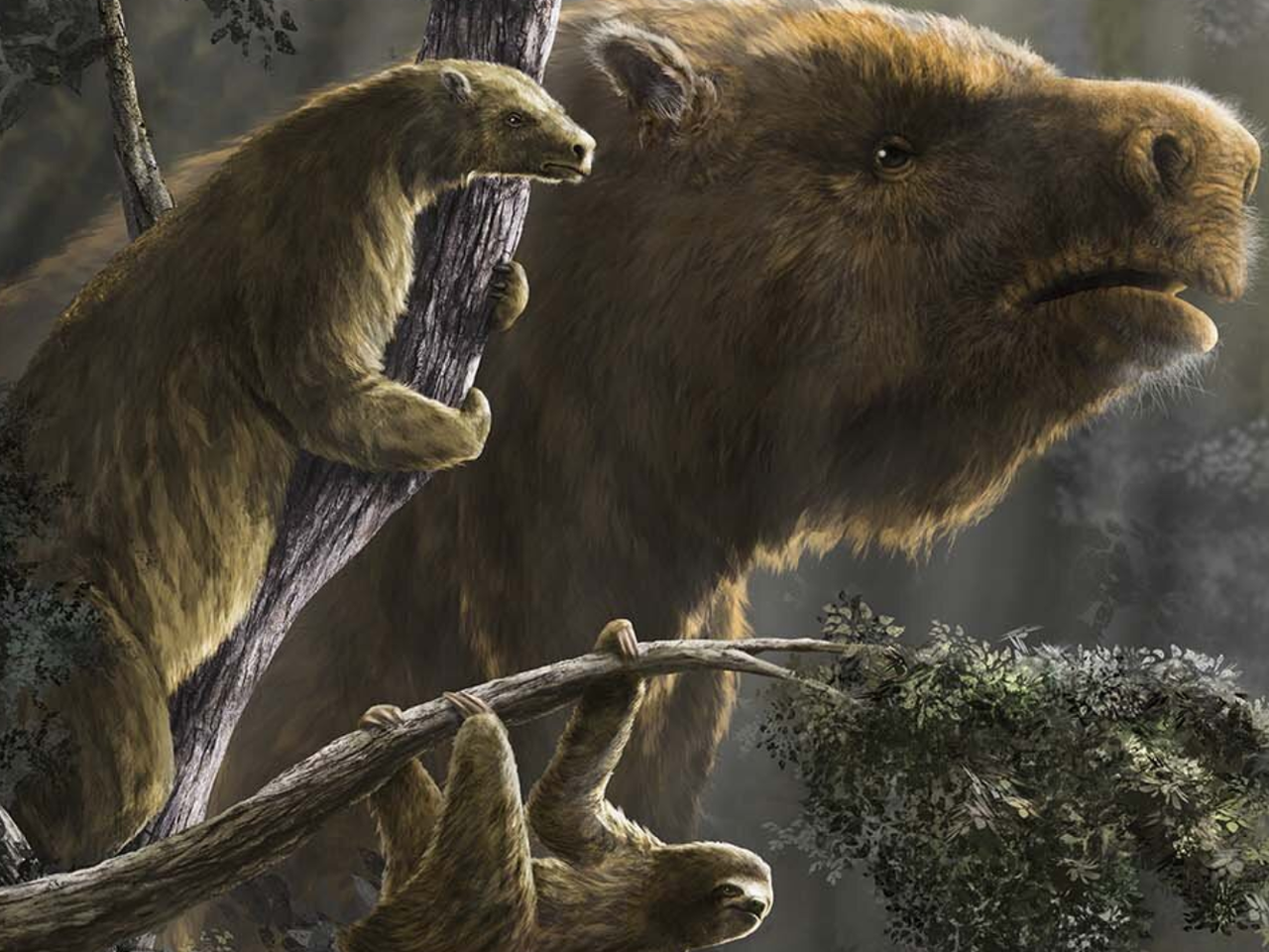 Megatherium Size
