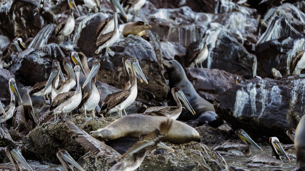 Smithsonian Magazine Daily Newsletter