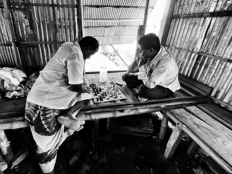 Playing chase | Smithsonian Photo Contest | Smithsonian Magazine