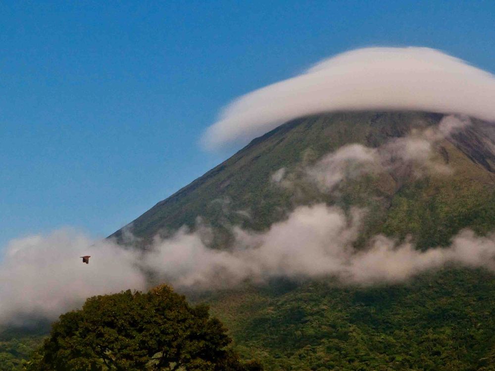 bird flying past volcano | Smithsonian Photo Contest | Smithsonian Magazine