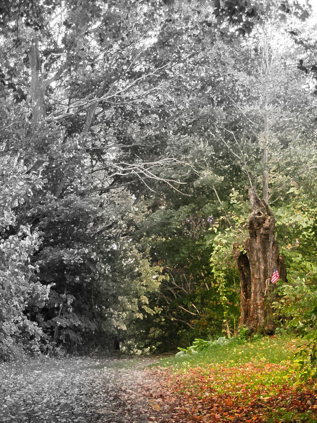 If you are seeking creative ideas, go out walking-Raymond Inmon ...