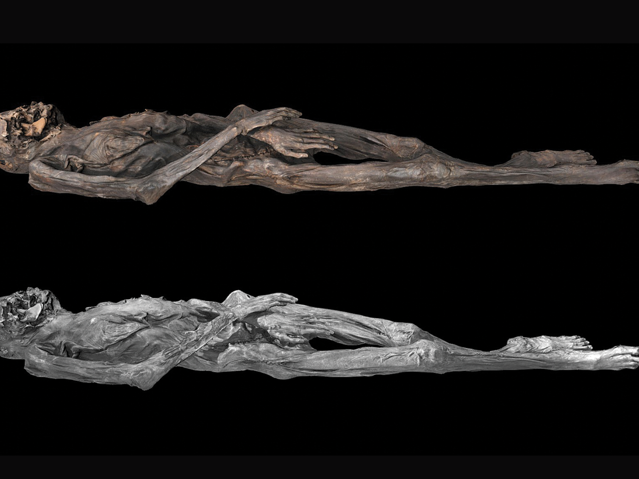 ancient tattoos found